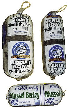 How to catch Blue Moki - The Fishing Website