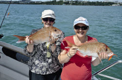 Catching snapper in the estuary - The Fishing Website