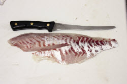 Filleting snapper - The Fishing Website