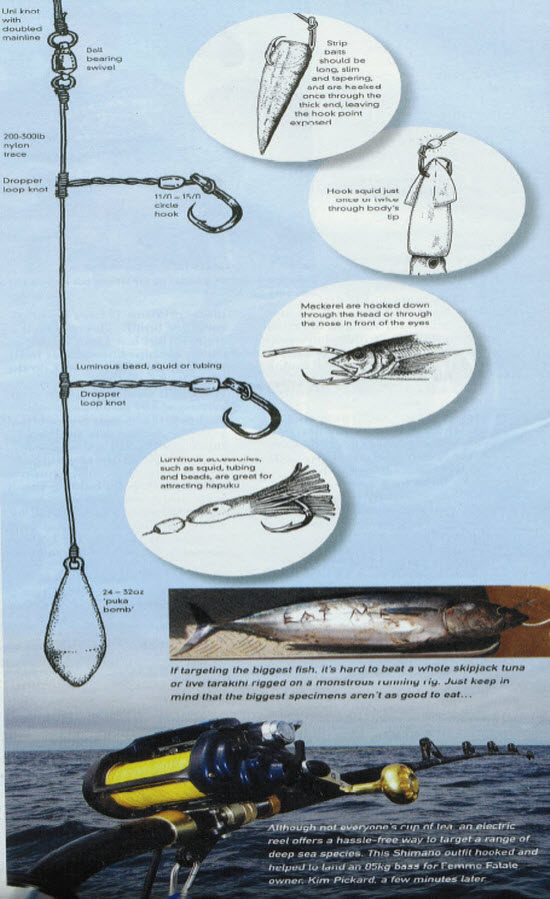 How to catch Groper,Bass,Hapuku & Bluenose - The Fishing Website
