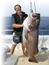 How to catch Groper,Bass,Hapuku & Bluenose - The Fishing Website