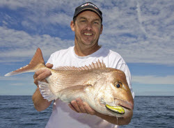 Snapper on hard-bodied lures - The Fishing Website