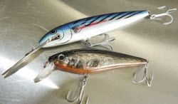 Snapper on hard-bodied lures - The Fishing Website