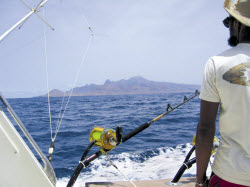 Gamefishing - lure positions - The Fishing Website