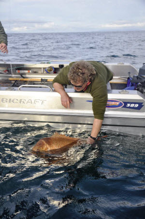 Ten tips for better fish photos - The Fishing Website