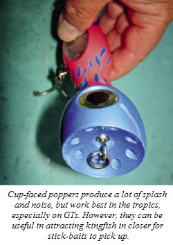 Popper Stick Bait