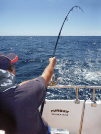 Stickbaits and surface fishing techniques Part 3 - The Fishing Website