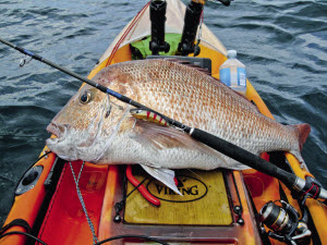 Kayak Fishing - Trolling for Snapper - The Fishing Website
