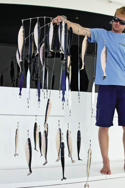 What does it mean to dredge fish - queenupoi