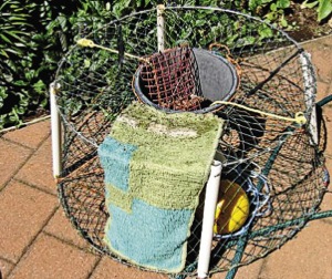 Kayak fishing - Cray potting made easy - The Fishing Website