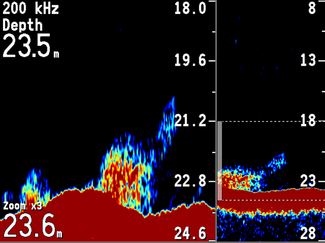 Sounders - how they work - The Fishing Website