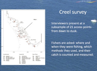 The Health of our Snapper Fishery SNA1 - The Fishing Website