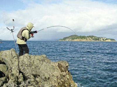 Land-based light tackle fishing - The Fishing Website
