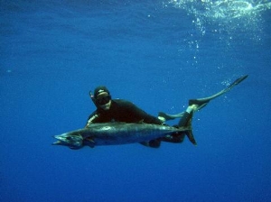 How to catch hapuku and bass - The Fishing Website