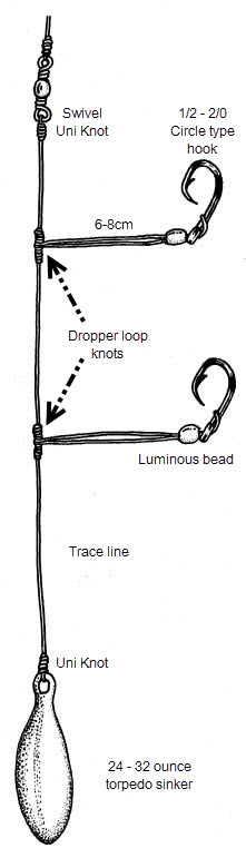 What basic complete setup should I get to start surf fishing? : r/Fishing