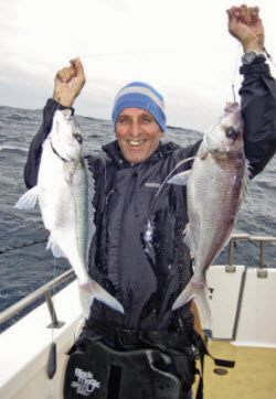 How to target Tarakihi - The Fishing Website