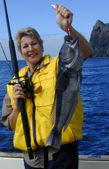 Support for changing the blue cod size limits in Marlborough Sounds ...
