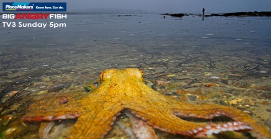 Big Angry Fish - Defeated by the Harbour Monsters - The Fishing Website