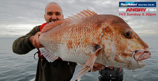 Big Angry Fish – Secret Snapper Weapons - The Fishing Website