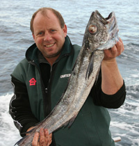 Hoki fishery rebounds - The Fishing Website