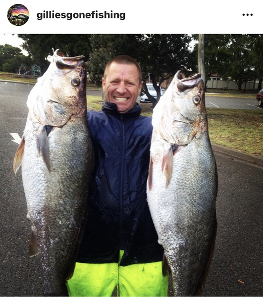 28 Pound snapper WLGTN Harbour - The Fishing Website : Discussion ...