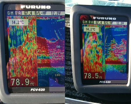 Furuno FCV-620 Screen Shots - The Fishing Website : Discussion Forums ...