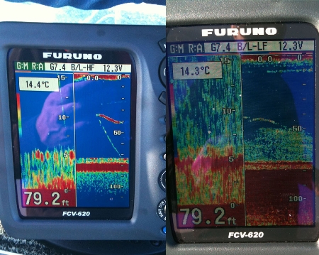 Furuno FCV-620 Screen Shots - The Fishing Website : Discussion Forums ...