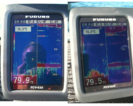 Furuno FCV-620 Screen Shots - The Fishing Website : Discussion Forums ...