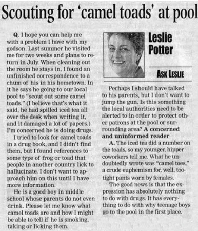 Scouting for camel toads? - The Fishing Website : Discussion Forums