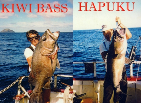 NZ or Oz Bass Grouper? - The Fishing Website : Discussion Forums