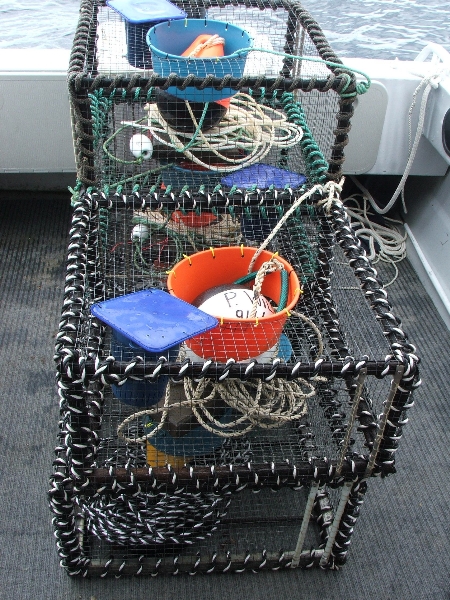 cray pots - The Fishing Website : Discussion Forums