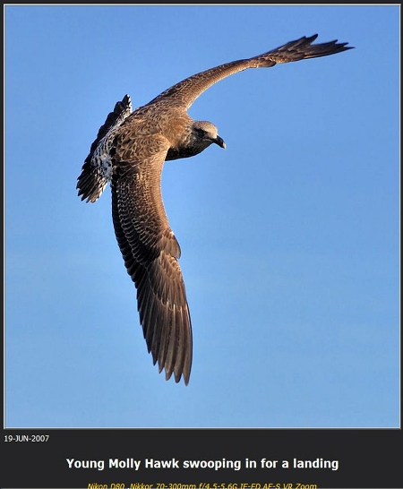 What is this - The Fishing Website : Discussion Forums - Page 1