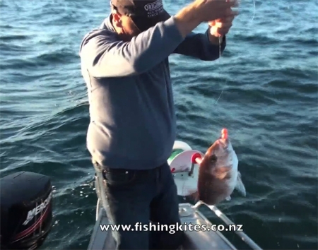 How to Set a Longline From a Boat - The Fishing Website : Discussion Forums