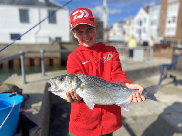 UK Mackerel and Bass Fishing - The Fishing Website : Discussion Forums