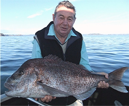 Best Snapper Flies - The Fishing Website : Discussion Forums