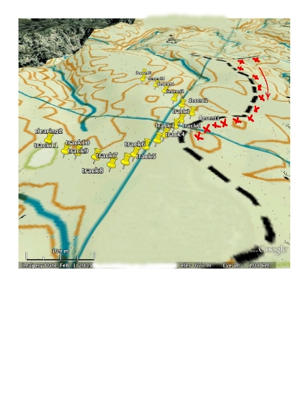 PUREORA FOREST - The Fishing Website : Discussion Forums