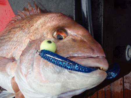 Cyclops Saturday - The Fishing Website : Discussion Forums - Page 1