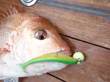 Cyclops Saturday - The Fishing Website : Discussion Forums - Page 1