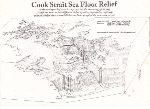 Nicholsons Trench - The Fishing Website : Discussion Forums