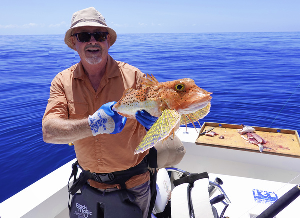 Gurnard thread - The Fishing Website : Discussion Forums - Page 1