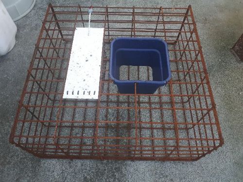 Cray pot ideal size - The Fishing Website : Discussion Forums