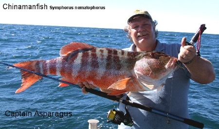 W.A. Exmouth to Karratha... - The Fishing Website : Discussion Forums