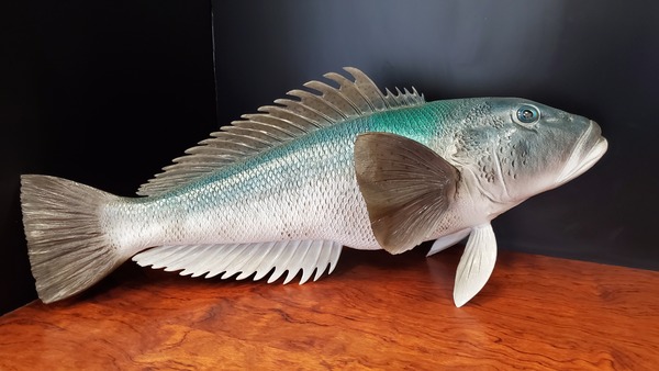 Taxidermy - The Fishing Website : Discussion Forums - Page 3