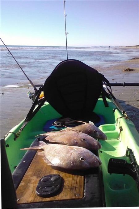 Tallon Elite Socket - The Fishing Website : Discussion Forums