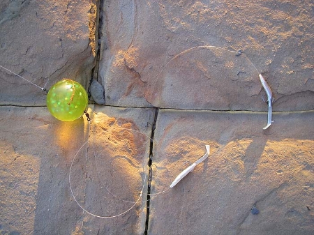 Tennis ball as a float - The Fishing Website : Discussion Forums