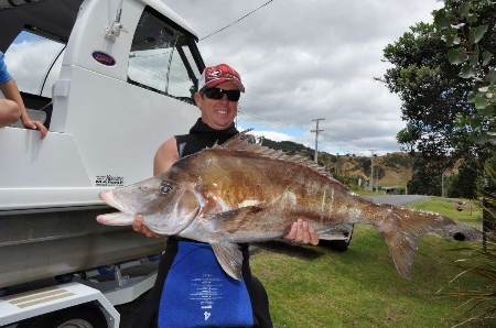 Mercury Bay/Opito Updated 20lb Boar fish - The Fishing Website ...