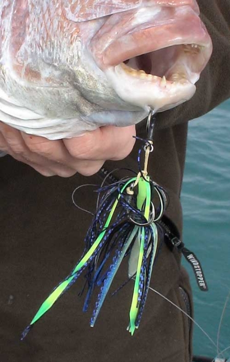 SLOW JIGS =LUCANUS HALL OF FAME - The Fishing Website : Discussion ...