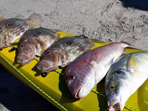 BOP Yakmen - The Fishing Website : Discussion Forums - Page 763