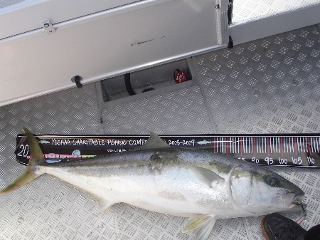 1st prize for yeehaa jigging comp - The Fishing Website : Discussion ...