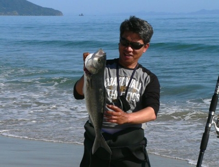 The Sands and Rocks of Matarangi - The Fishing Website : Discussion Forums